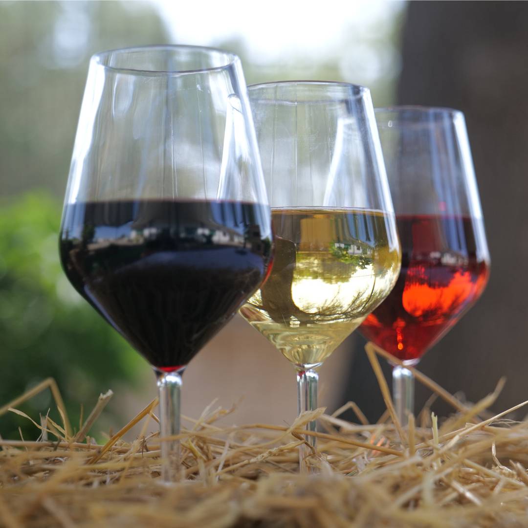 VINO IGP SALENTO - Scopri le Nostre Selezioni – CAF Cantine Sociali